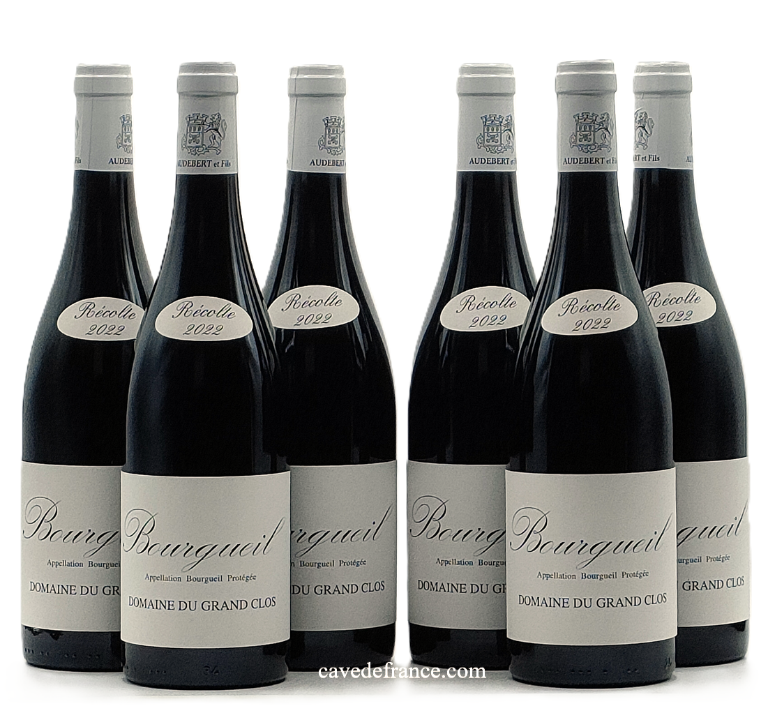 Bourgueil Domaine du Grand Clos Audebert et Fils X 6 – Cave de France